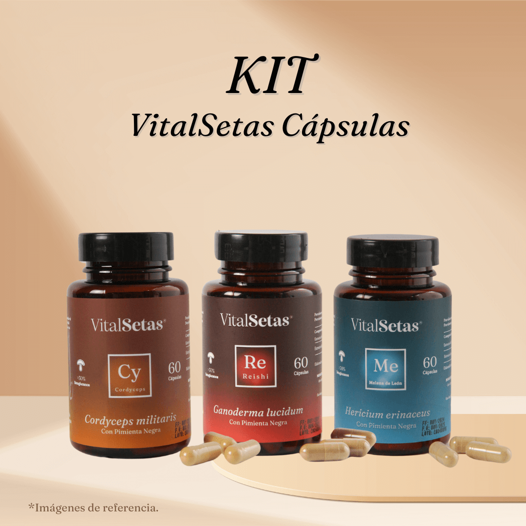 Kits de Hongos Funcionales - Diseñados por VitalSetas