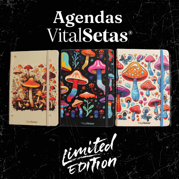 Accesorios de Honguitos VitalSetas